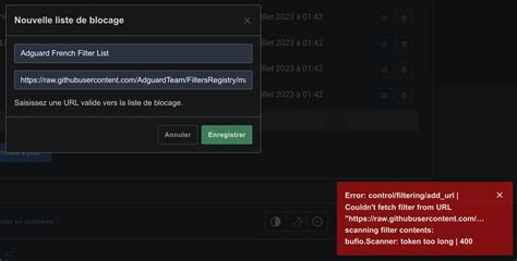 Error When Adding A Customized Filter From AdGuard Issue AdguardTeam AdGuardHome