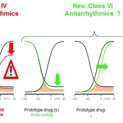 Late I Ca L Antiarrhythmic Modifications Class Iv Antiarrhythmics