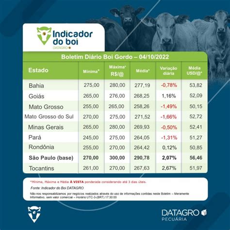 Os Maiores Produtores De Carne Bovina Do Mundo
