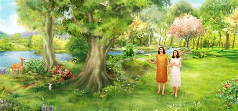 4 Purposes For Which God Created You Cccdiscover