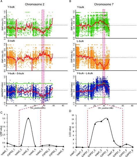 Qtl Seq Applied To F 2 Population Of A Cross Between Shinanotsubuhime Download Scientific