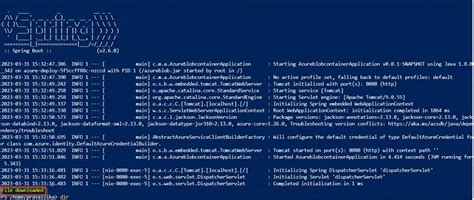 azure aks java service running in aks to access storage blob using