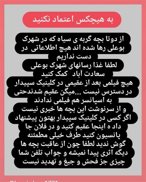 بعد از یکماه یه فیلم مزخرف فرستادن یه گربه گوشه ی دیوار داره از ترس