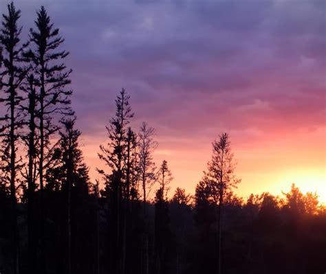 Premium Photo Beautiful Sunset