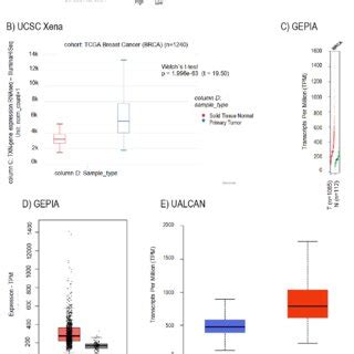 Comparative Analysis Between The Graphical Output Of Expression Of