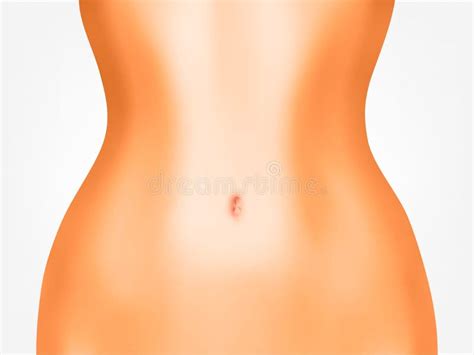 Buik Stock Illustrations Vectors And Clipart 46640 Stock Illustrations