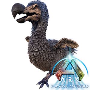 Asa Dodo Tier Vip Naked Afraid