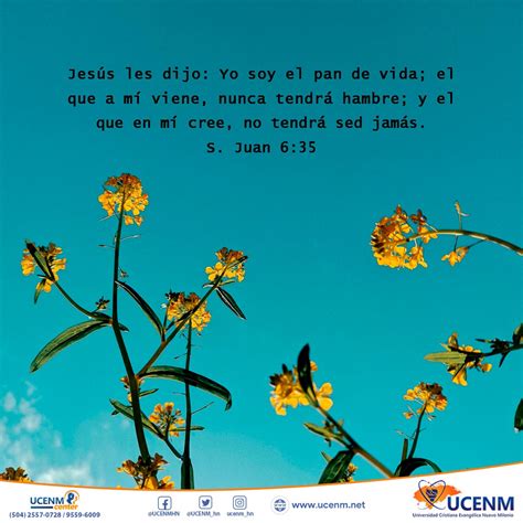 Ucenm Jesús Les Dijo Yo Soy El Pan De Vida El Que A Facebook