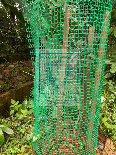 Tree Guard Tree Guard Net Latest Price Manufacturers Suppliers