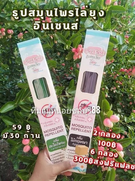 ☘️🍃ธูปหอม ไล่ยุง สมุนไพร ธูปไล่ยุงอินเซนส์ พิษณุโลก