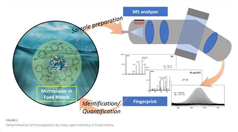 Figure 1 From Mass Spectrometry Based Multimodal Approaches For The