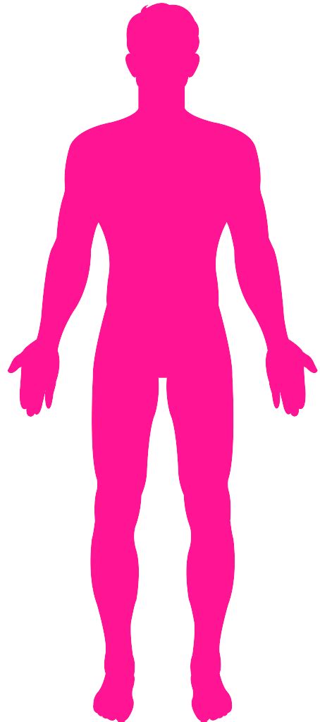 Silhouette Corps Masculin Silhouettes Vectoriel