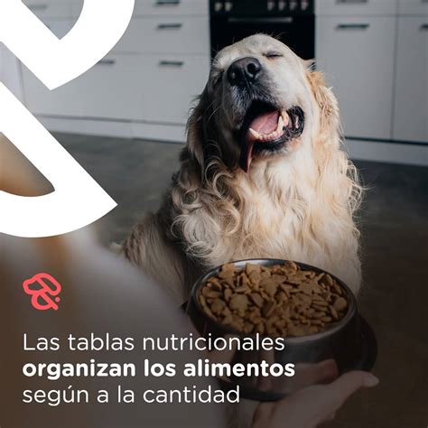 Cómo Leer Las Etiquetas De Ingredientes De Alimentos Para Perros