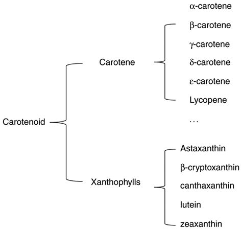Classification Of Carotenoids Download Scientific Diagram
