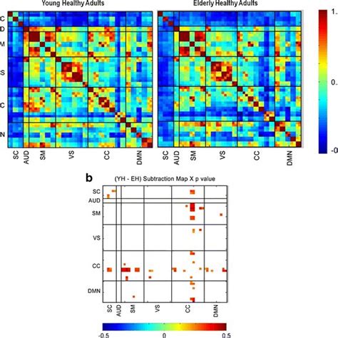 Differences In Static Functional Connectivity Sfc Between Young
