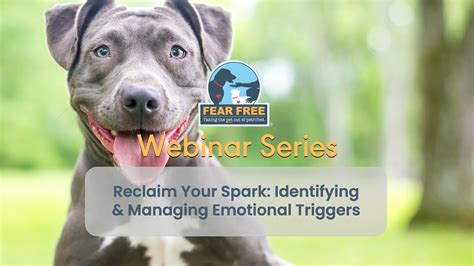 Reclaim Your Spark Identifying Managing Emotional Triggers
