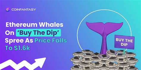 Ethereum Whales Seize Buying Opportunity As Price Drops