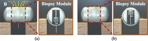 Figure 12 From Design And Control Of A Magnetically Actuated Capsule