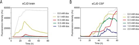 Impact Of Doxycycline On The Rt Quic Seeding Response Of Scjd Brain And