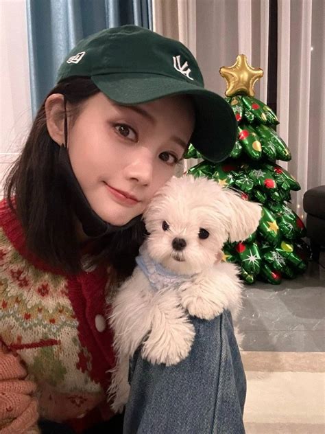 李一桐毕雯珺疑似恋情曝光？同款圣诞树窗帘地板被扒照片双方传闻