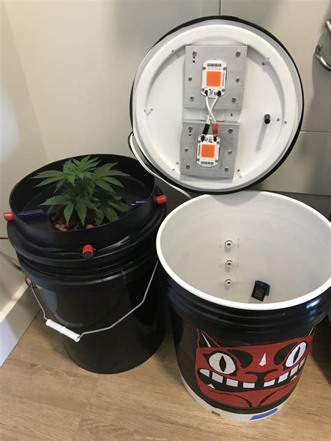 Undressed DWC R SpaceBuckets