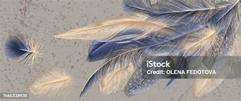 황금색과 파란색 깃털이 있는 예술 벽지 현대적인 창조적 인 디자인 수채화 질감 가정 장식 배너 및 인쇄물 벡터 그림입니다 그림 그리기에 대한 스톡 벡터 아트 및 기타 이미지