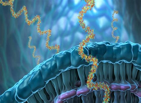 Protein Expression Technology Application In Healthcare Industry