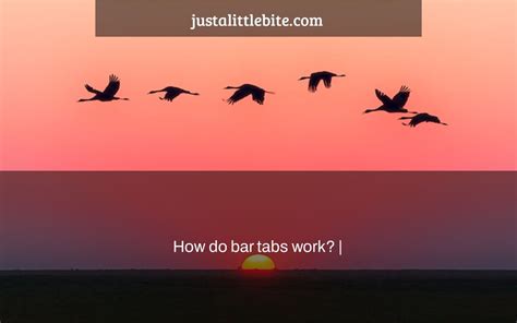 How Do Bar Tabs Work JustAbabeBite