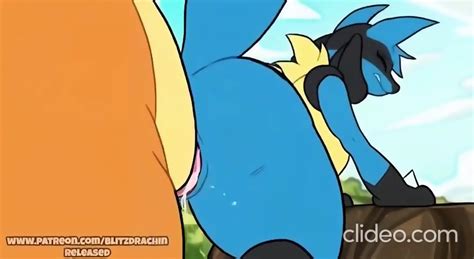 Lucario Charizard Eporner