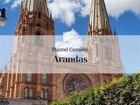 Conalep Arandas Inscripción Y Carreras【2025】