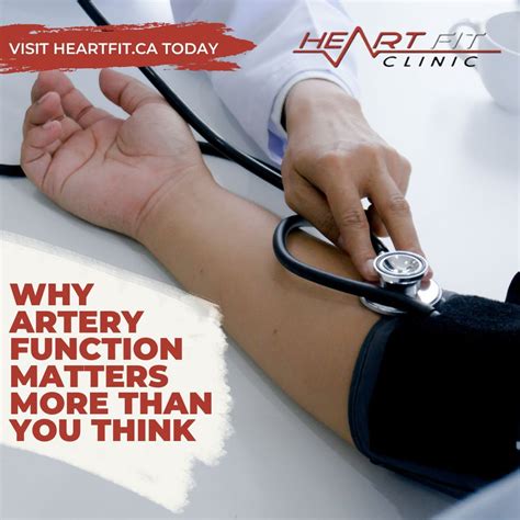 Why Artery Function Matters More Than You Think Its Not Just About