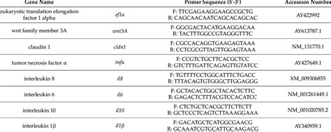 Oligonucleotide Primers Used For Quantitative Rt Pcr Analysis Of Gene