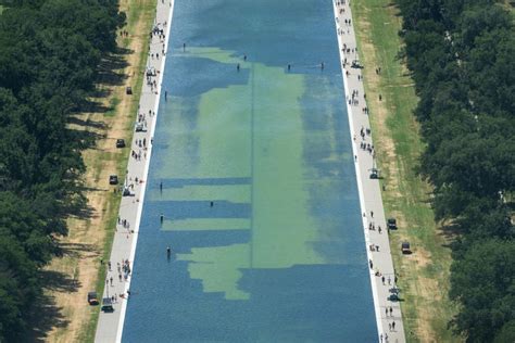 Kaitlan Collins Corners Scott Jennings On Slimy Reflecting Pool Defense