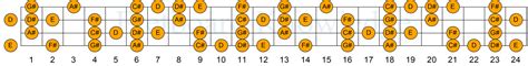 Db D Eb E Gb Ab Bb Bass Guitar Fretboard Knowledge