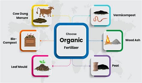 Organic Fertilizer Examples Mix It Up Homemade Organic Fertilizer