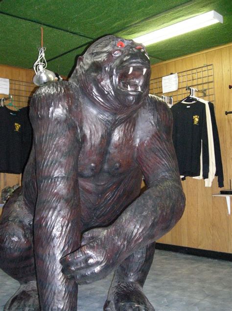Stay Weird Florida 10 Unique Places To Visit In The Sunshine State