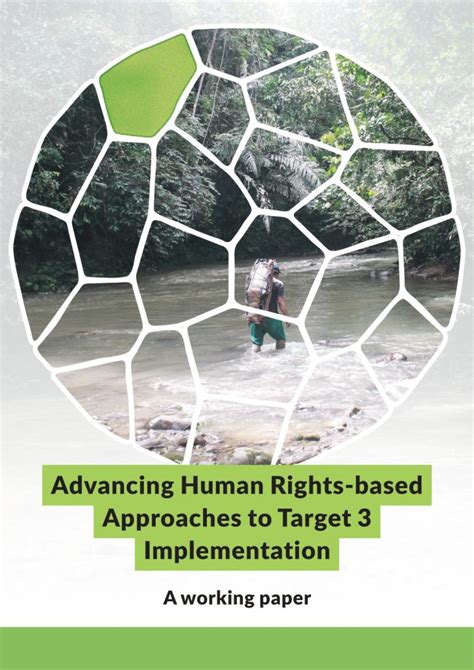 Advancing A Human Rights Based Approach To Target 3 Implementation