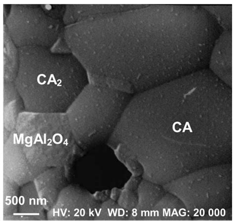 Typical Sem Micrograph Of The Microstructure Of The Cemen
