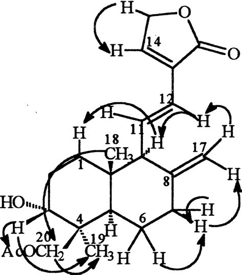 Correlation Of 1h Nmr Nuclei Of 4 From Noesy Download Scientific