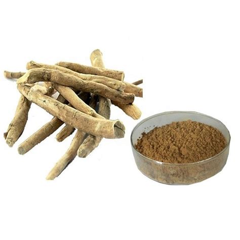 Ashwagandha Extract Powder Packaging Size 25 Kg At Rs 500 Kg In Sas Nagar