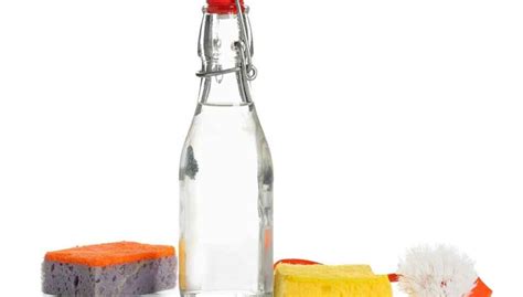 How To Remove Varnish From Wood With Vinegar PAINTZEAL