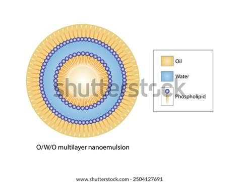 Multilayer Nanoemulsion Mixture Two Immiscible Liquids Stock Vector