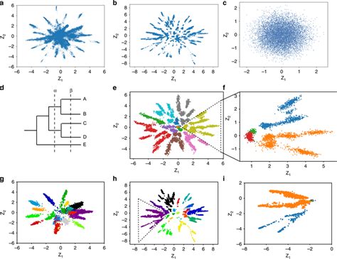 latent space representation of sequences captures phylogenetic