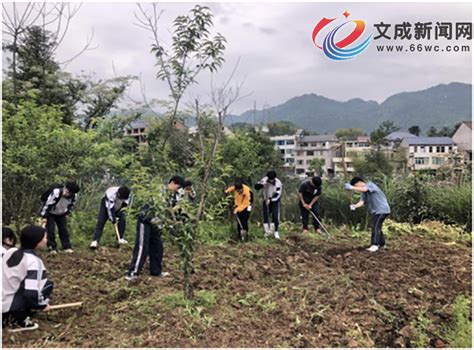 文成县职业高级中学举办2021年职业教育活动周系列活动 文成新闻网