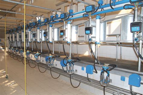 Sala De Ordenha Tipo Espinha De Peixe Milkline NG SpA Para Vacas