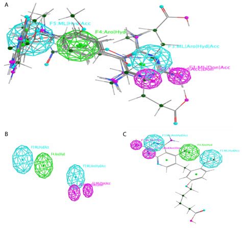 The 3d Pharmacophore Results A The Pharmacophore Map Generated After
