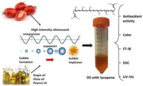Lycopene Extraction From Tomato Waste At Robert Nguyen Blog