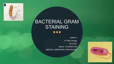 Gram Staining Pptx