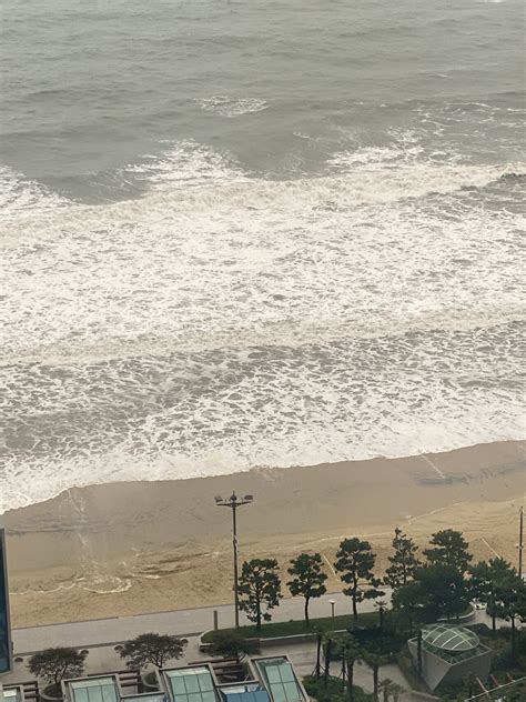 오늘 해운대해수욕장 유머 움짤 이슈 에펨코리아