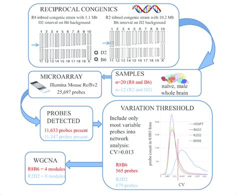 Microarray And Parallel Weighted Gene Co Expression Network Analysis Download Scientific